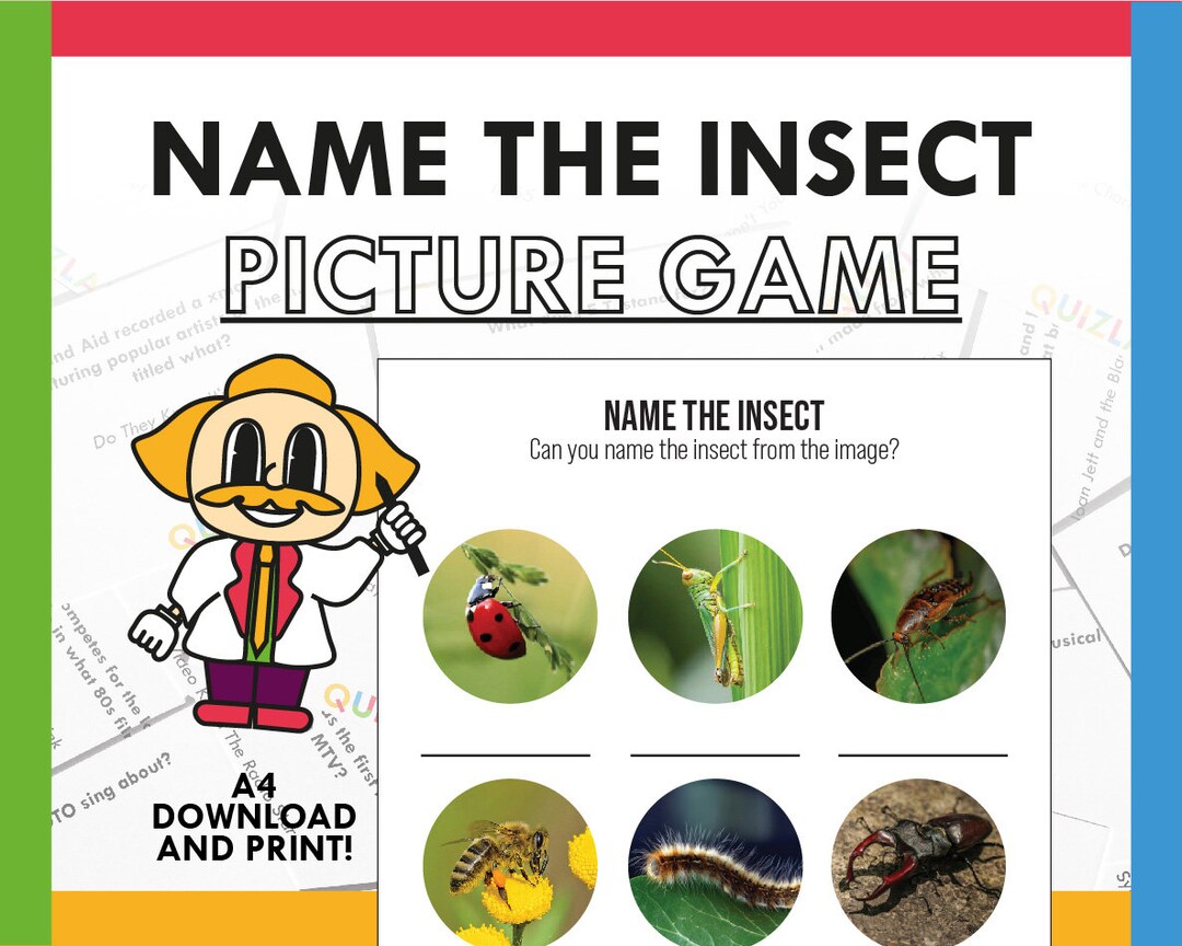 Insect Picture Game | Name the Bug | Family Quiz | Animal Trivia Game ...