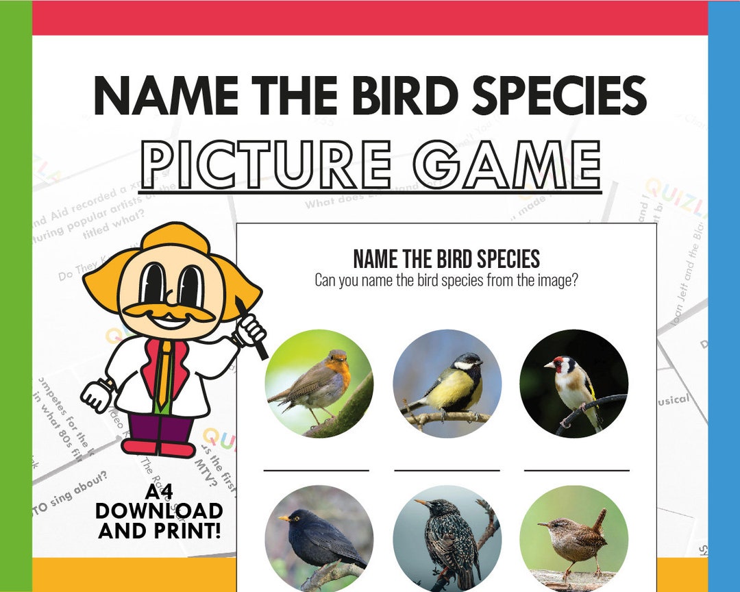 Bird Picture Game | Name the Bird Species | Family Quiz | Animal Trivia ...