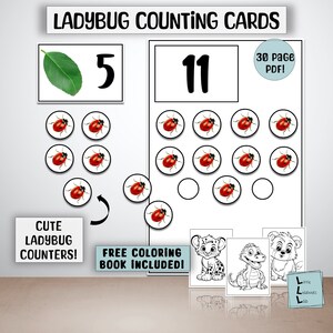 Ladybug Numbers and Counters, Number Match Practice 1-20, Numbers ...