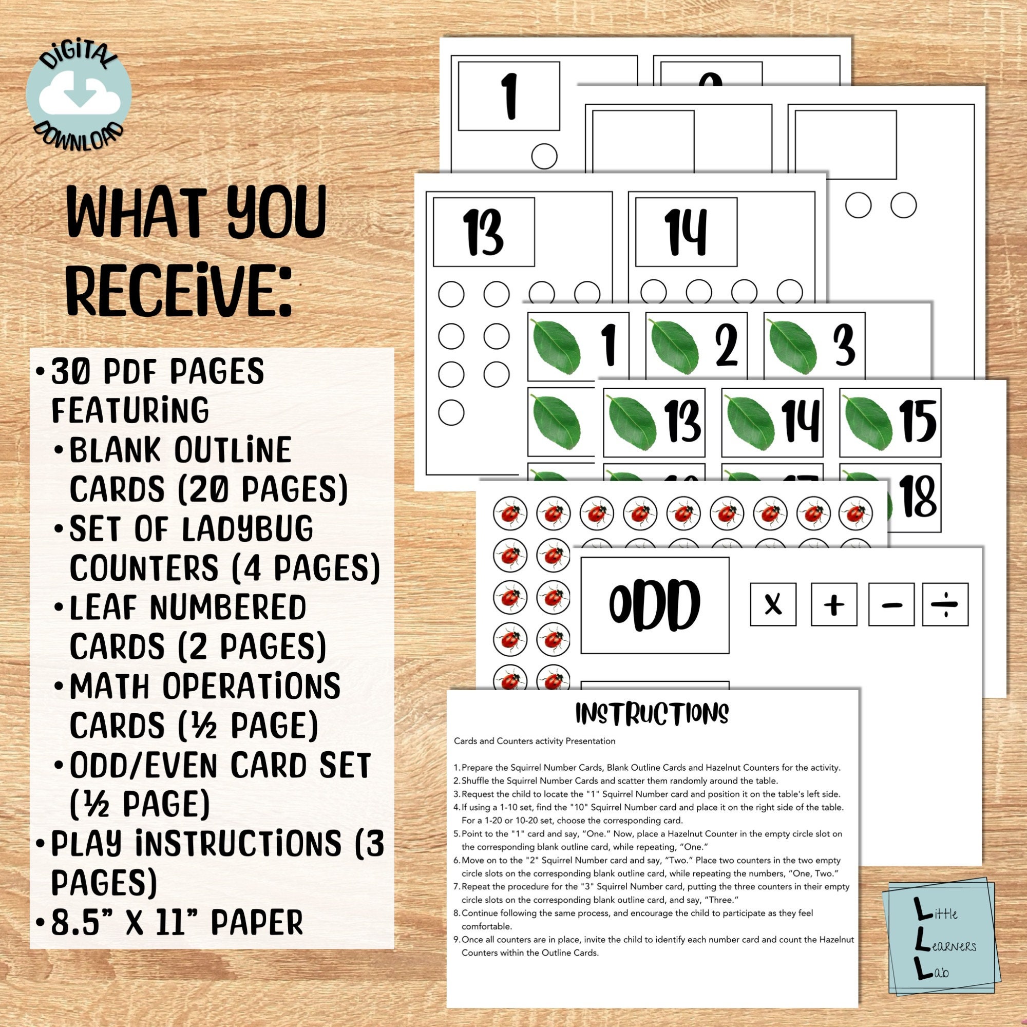 Ladybug Numbers and Counters, Number Match Practice 1-20, Numbers ...