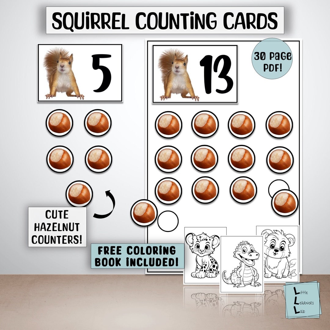 Fall Squirrel Numbers and Counters Set, Number Match Practice 1-20 ...