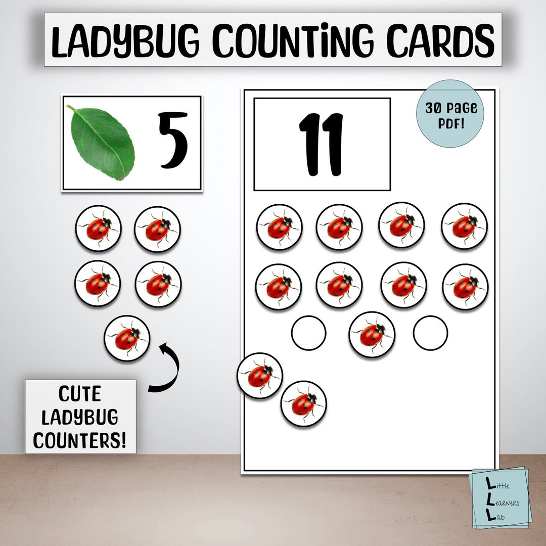Ladybug Numbers and Counters Number Match Practice 1-20 - Etsy