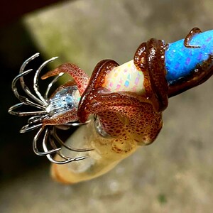 Squid Jig 1/2 Oz Weighted Jigs Handmade 30mm Wide Hook - Etsy