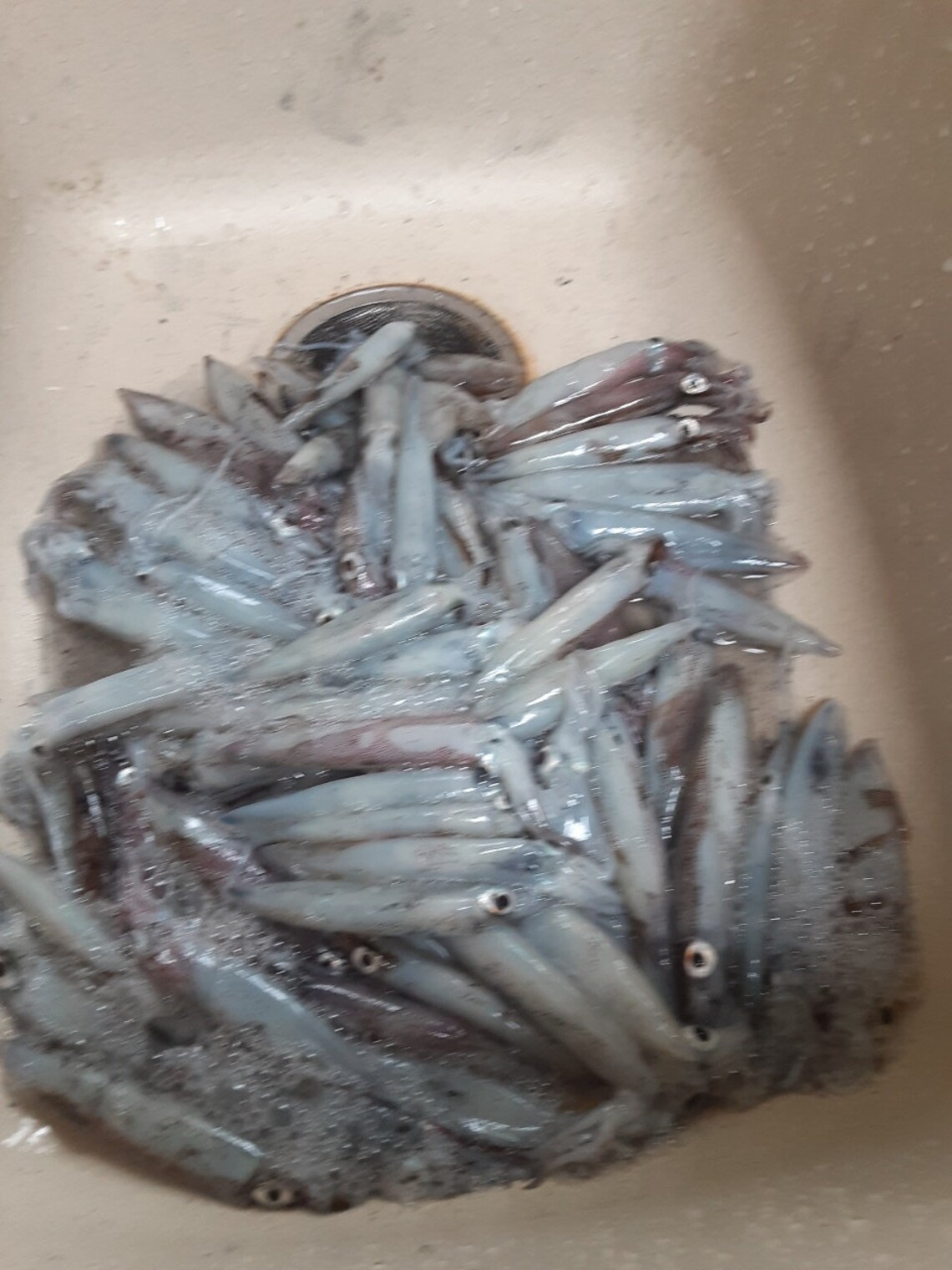 Squid Jig 1/2 Oz Weighted Jigs Handmade 30mm Wide Hook - Etsy