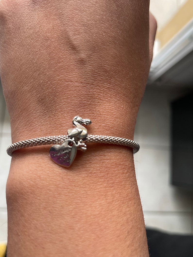Unique Charm DODO. A Trip to Mauritius Has Captured Your Heart, Take ...