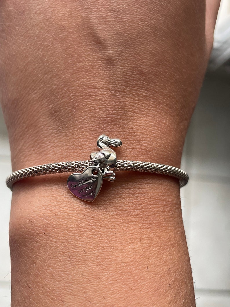 Unique Charm DODO. A Trip to Mauritius Has Captured Your Heart, Take ...