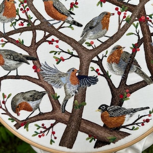 Robin Hand Embroidery Pattern and Guide | Advanced Modern Embroidery ...