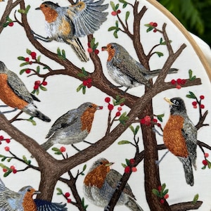 Robin Hand Embroidery Pattern and Guide | Advanced Modern Embroidery ...