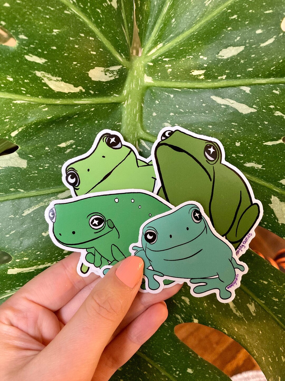 Moon Frog Vinyl Stickers - Etsy