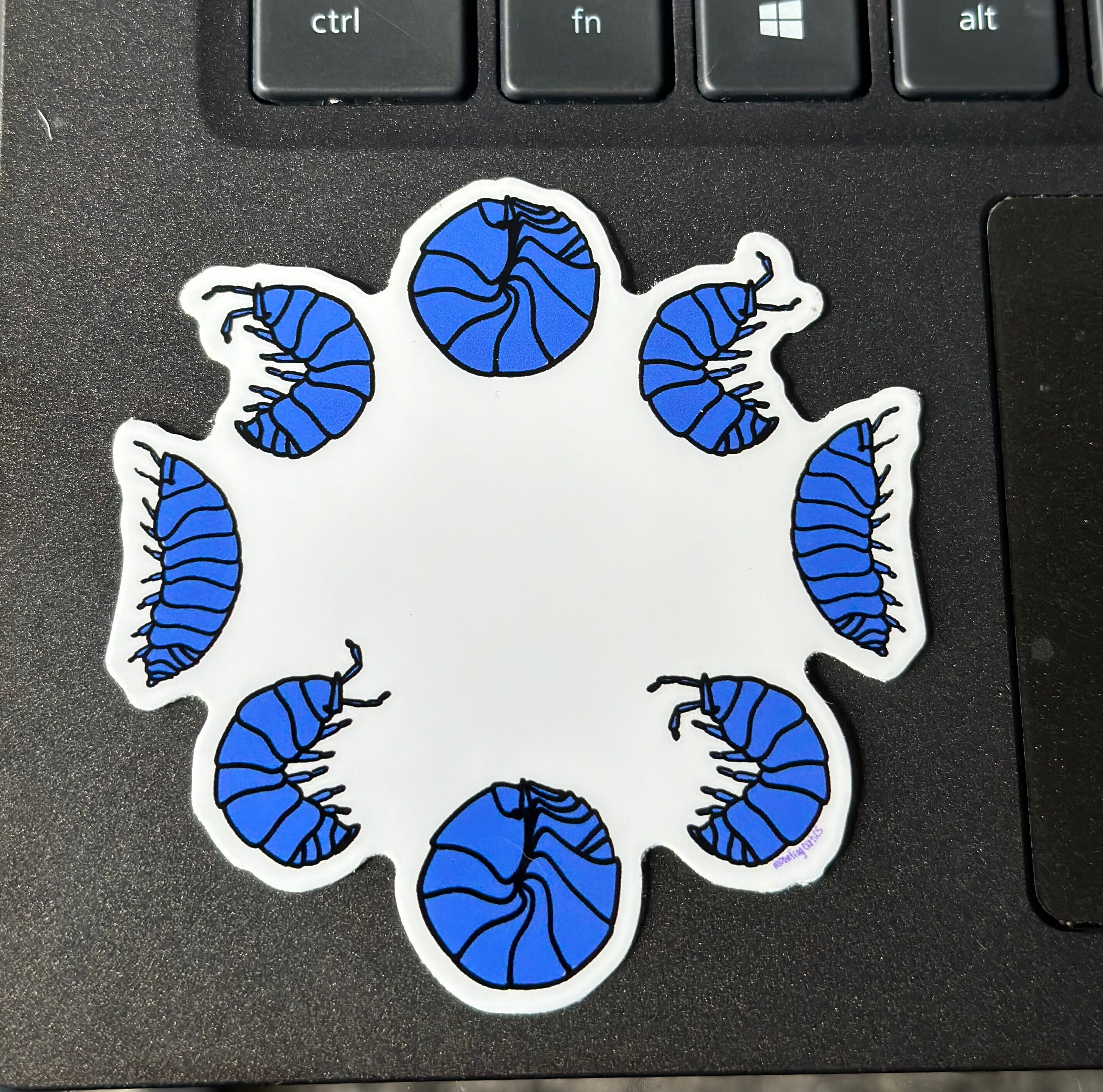 Moon Phases Isopod Stickers - Etsy