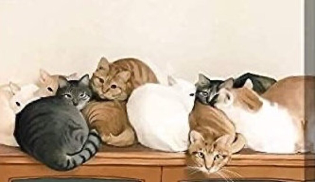 Paint by Numbers Cats an Group Painting by Numbers Kit for Adults Kids ...