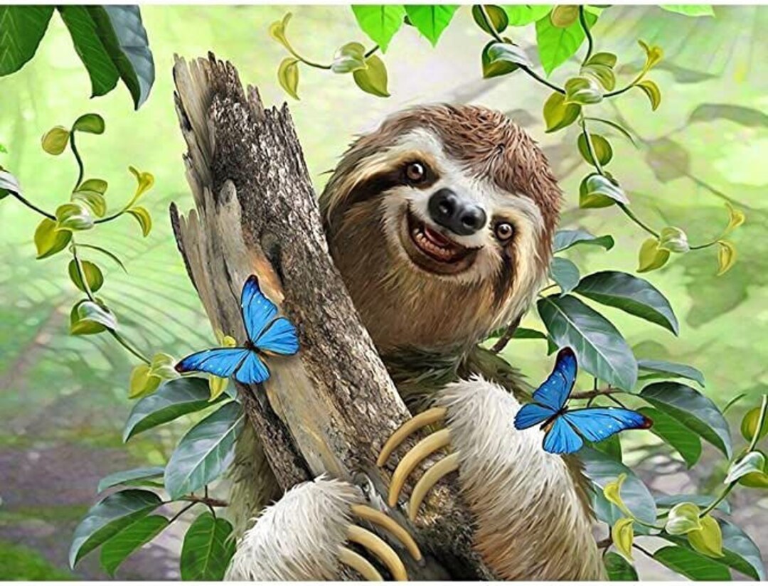 DIY Painting by Numbers // Sloth on Tree Animal Oil Paints for Home ...