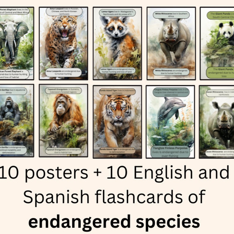 Endangered Animal Poster - Etsy UK