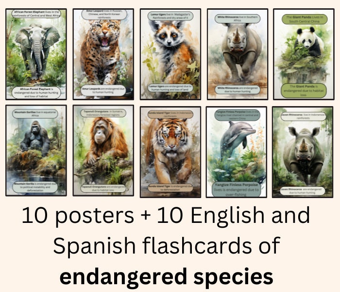 10 Posters + 10 Flashcards in English and Spanish for Endangered ...