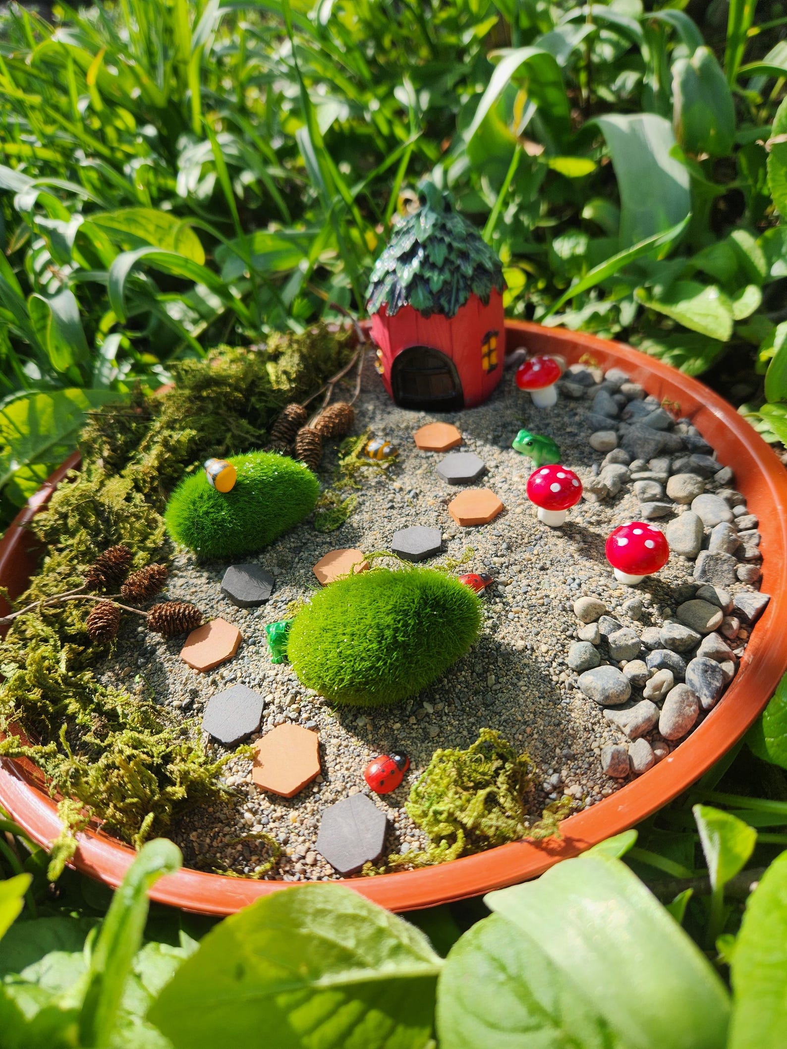 Fairy Zen Garden Kit, Strawberry House, Mini Garden, Zen Garden, Fairy ...