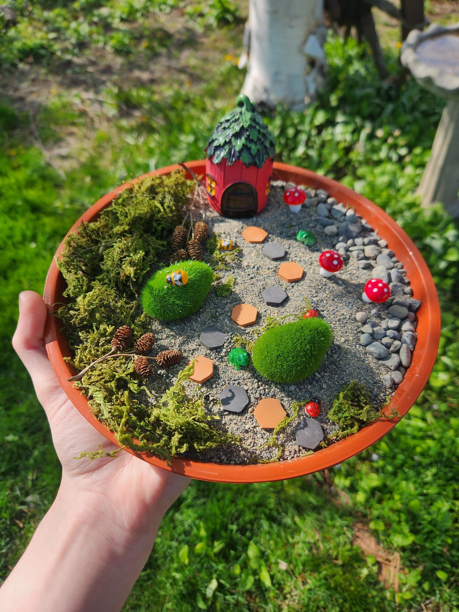 Fairy Zen Garden Kit, Strawberry House, Mini Garden, Zen Garden, Fairy ...