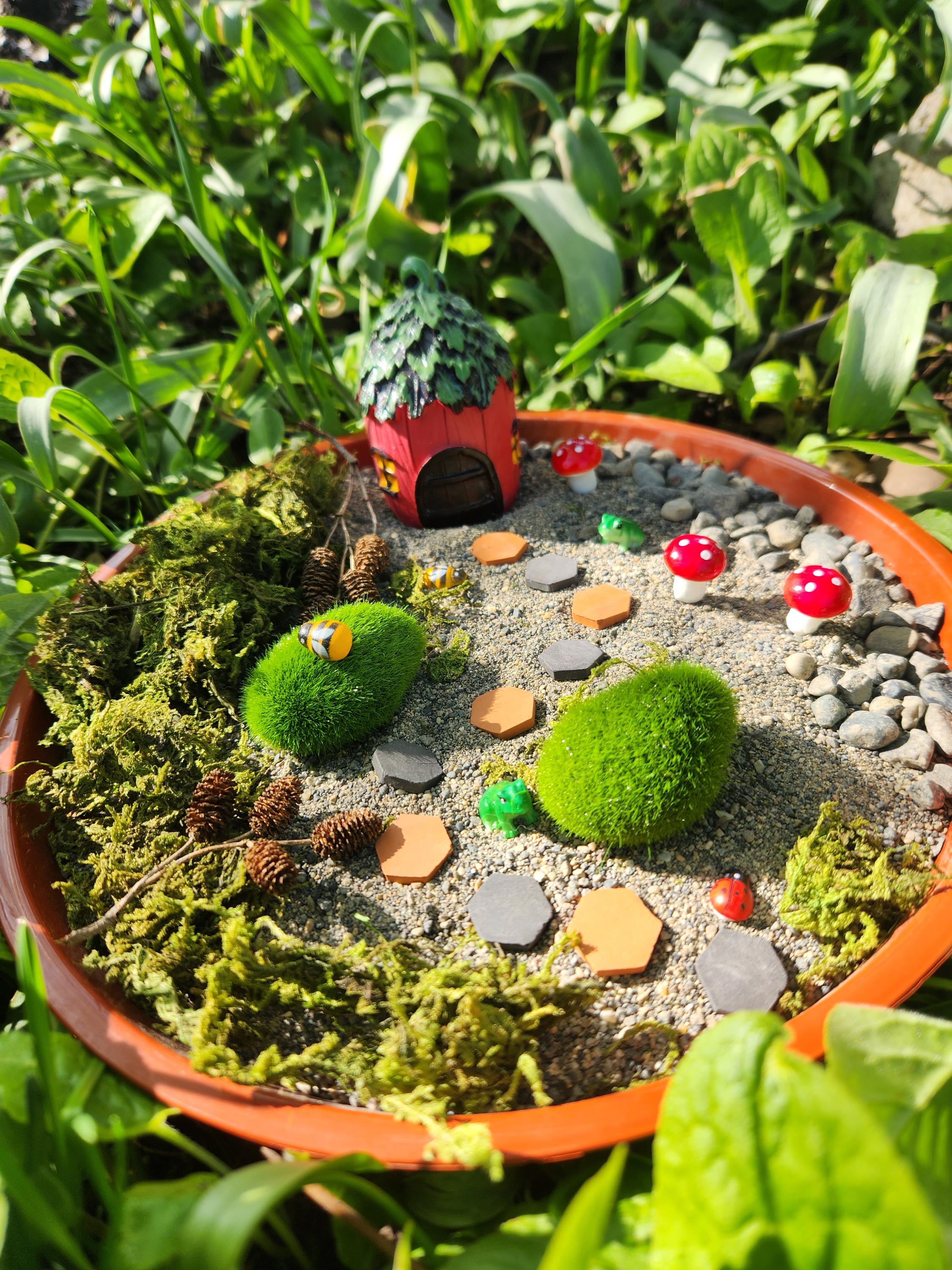 Fairy Zen Garden Kit, Strawberry House, Mini Garden, Zen Garden, Fairy ...