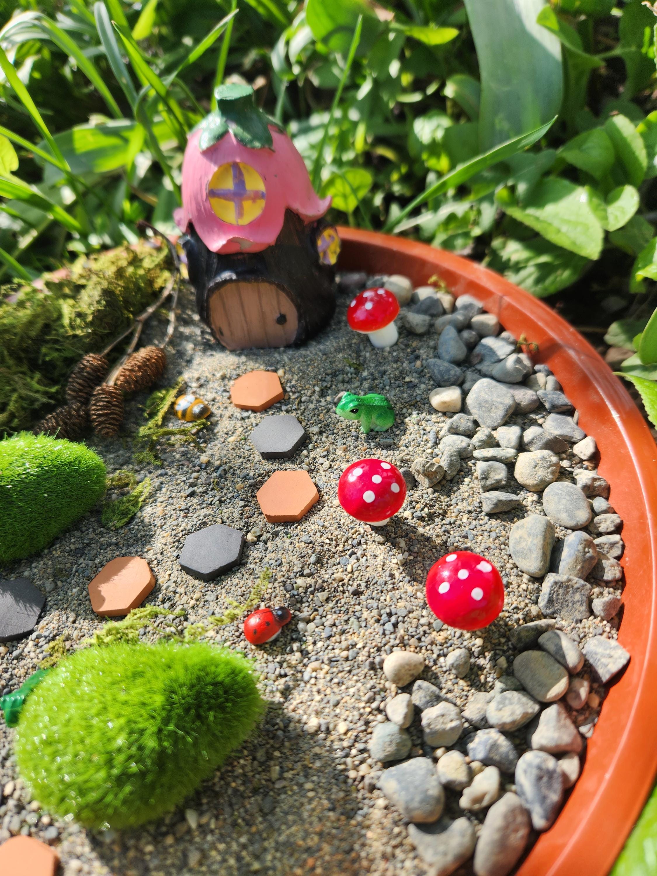 Fairy Zen Garden Kit, Flower Top House, Mini Garden, Zen Garden, Fairy ...