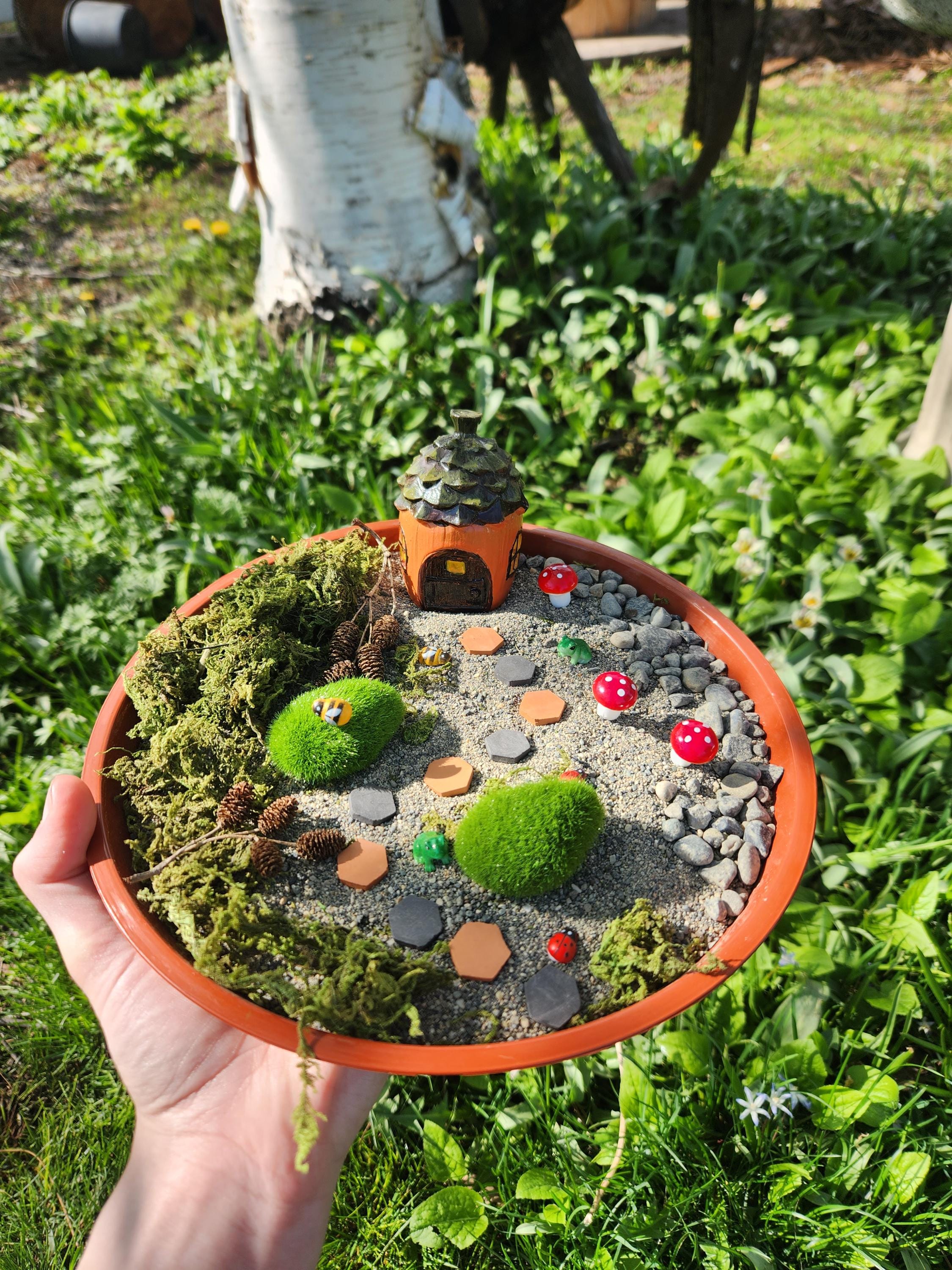 Fairy Zen Garden Kit, Pinecone House, Mini Garden, Zen Garden, Fairy ...