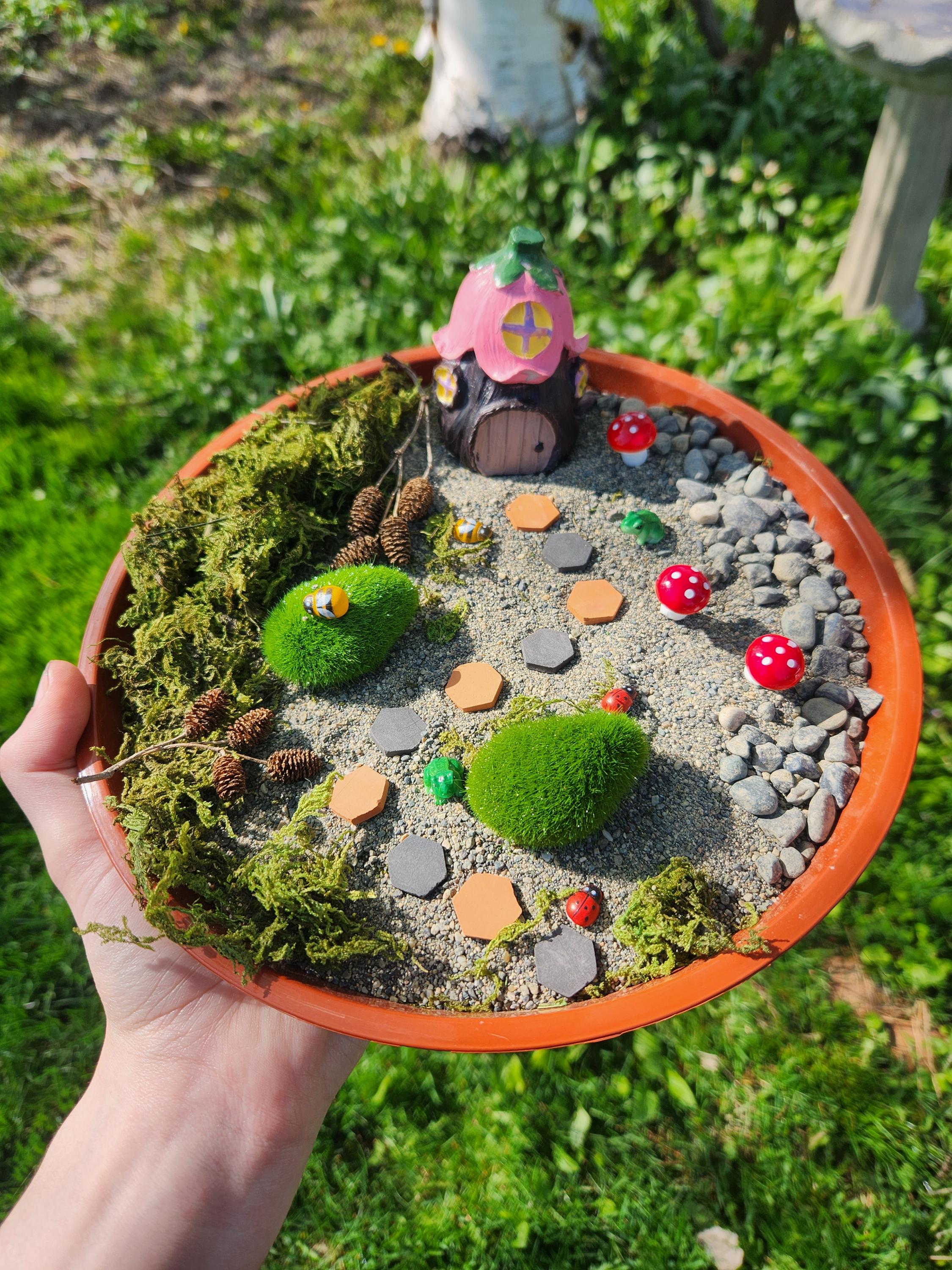 Fairy Zen Garden Kit, Flower Top House, Mini Garden, Zen Garden, Fairy ...