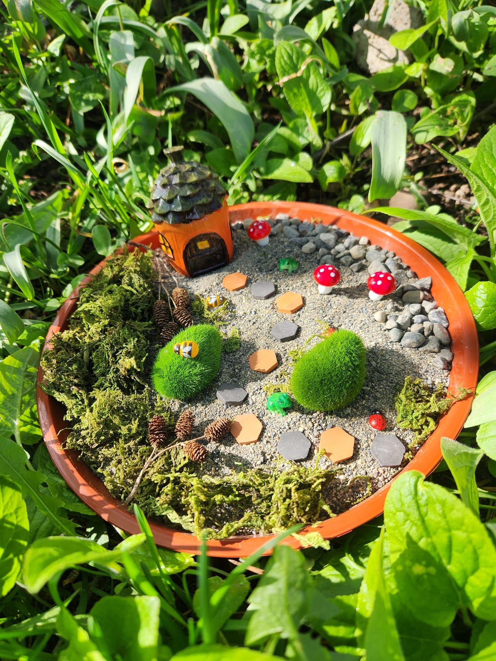 Fairy Zen Garden Kit, Pinecone House, Mini Garden, Zen Garden, Fairy ...