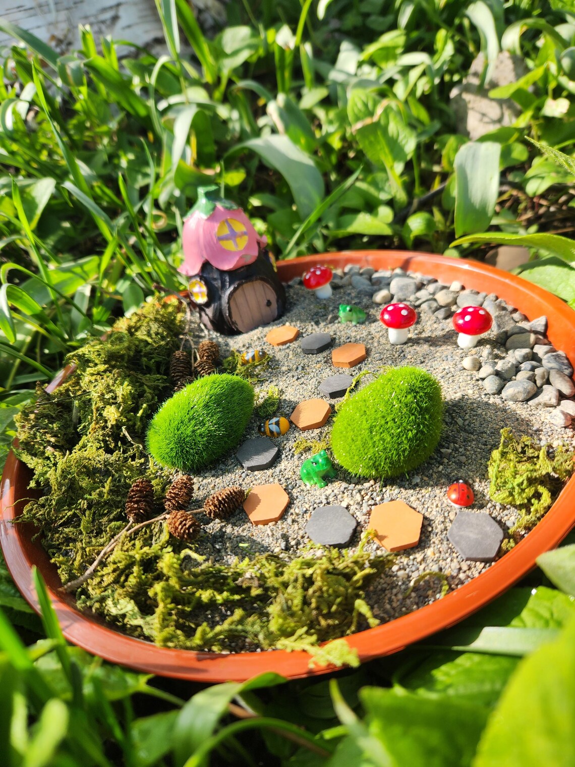 Fairy Zen Garden Kit, Flower Top House, Mini Garden, Zen Garden, Fairy ...