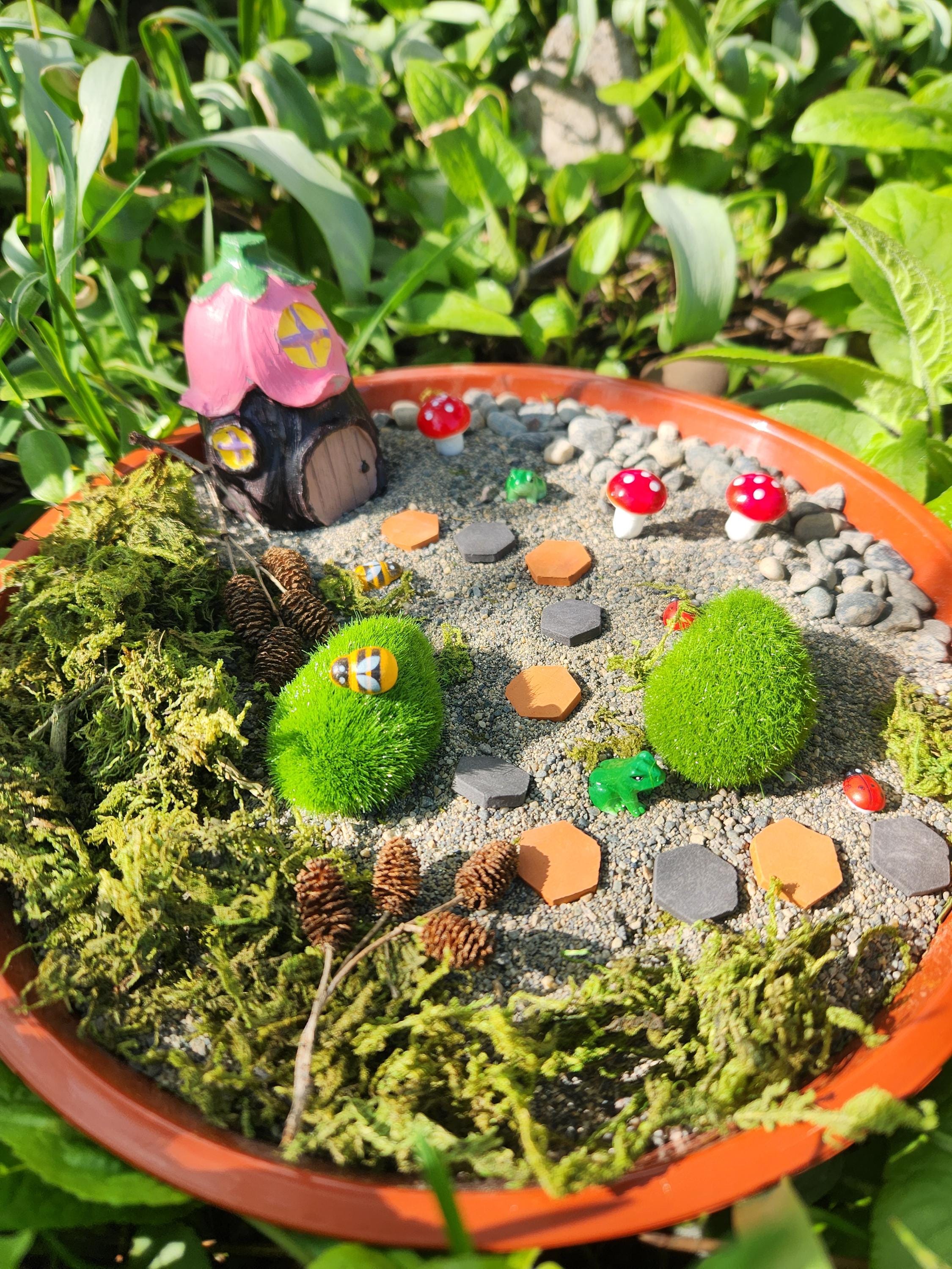Fairy Zen Garden Kit, Flower Top House, Mini Garden, Zen Garden, Fairy ...