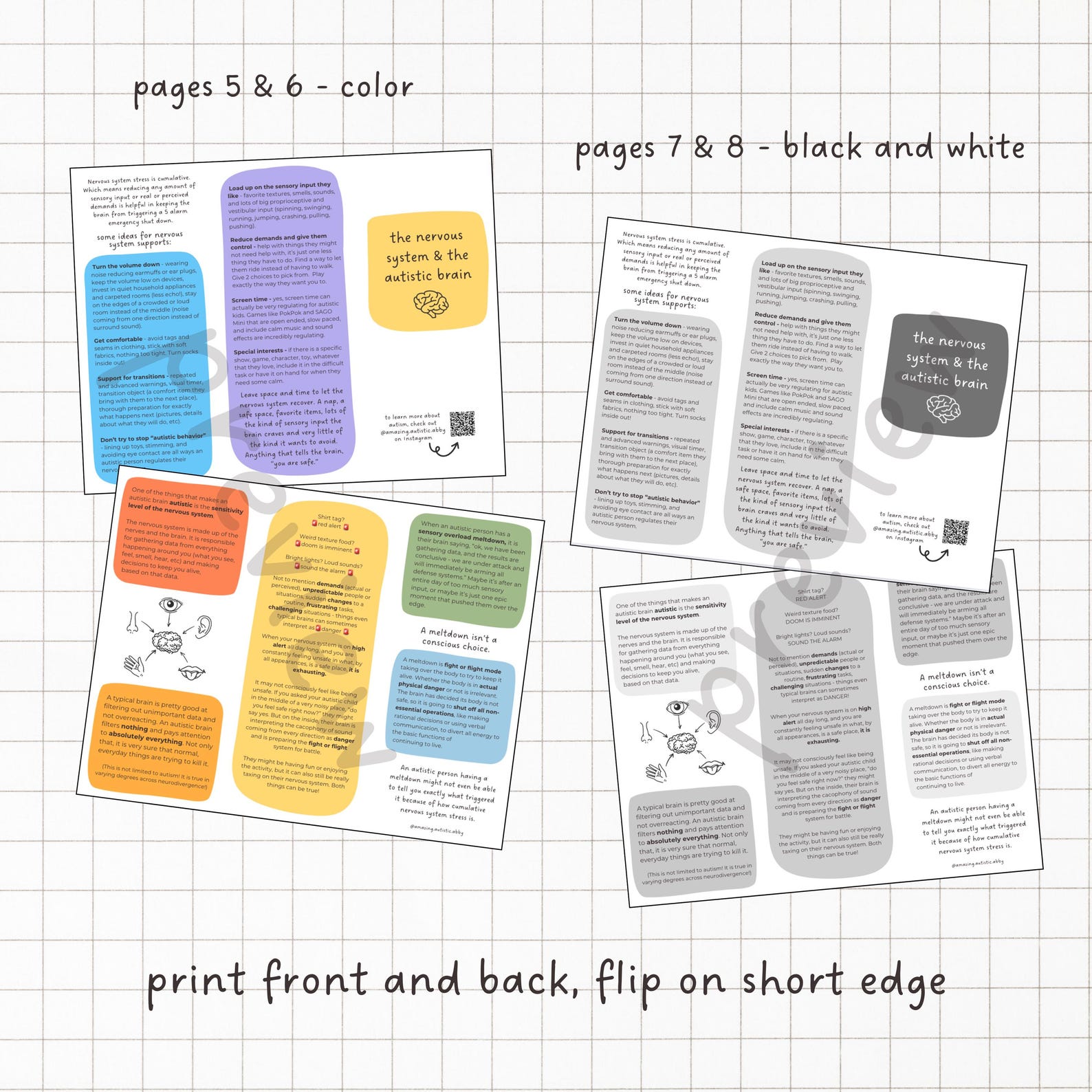 The Nervous System and the Autistic Brain Printable Informational ...