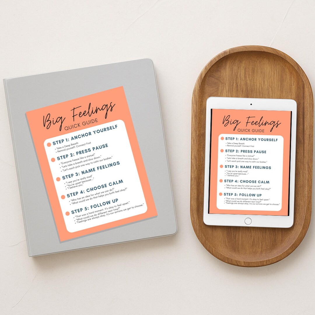 Big Feelings Quick Guide PRINTABLE - Instant Download - Etsy