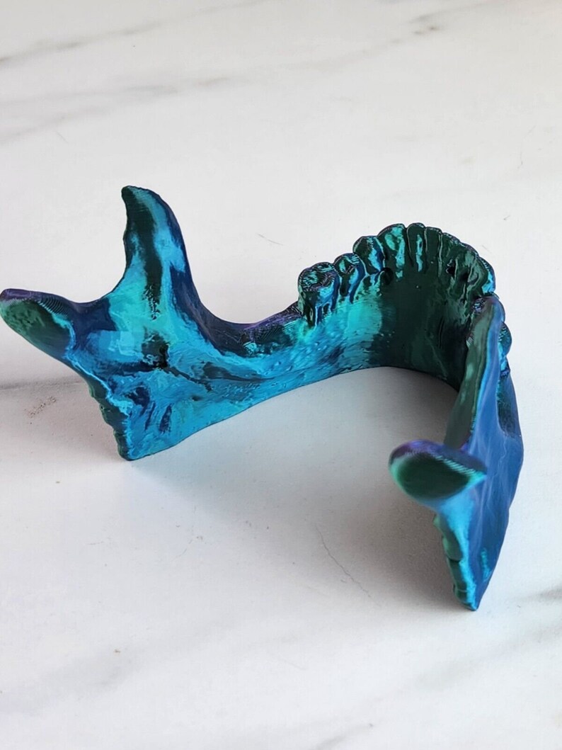 Phone Display Stand Holder | Skull/jawbone Shaped | for Cell Phone ...