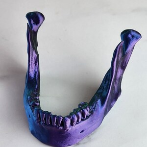 Phone Display Stand Holder | Skull/jawbone Shaped | for Cell Phone ...