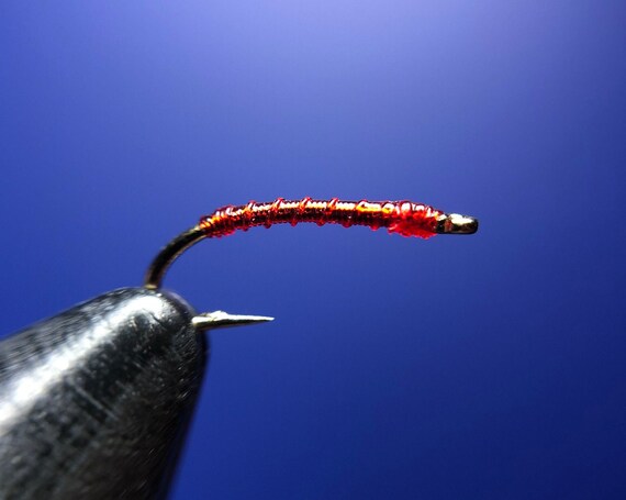 Midge Larva Fly