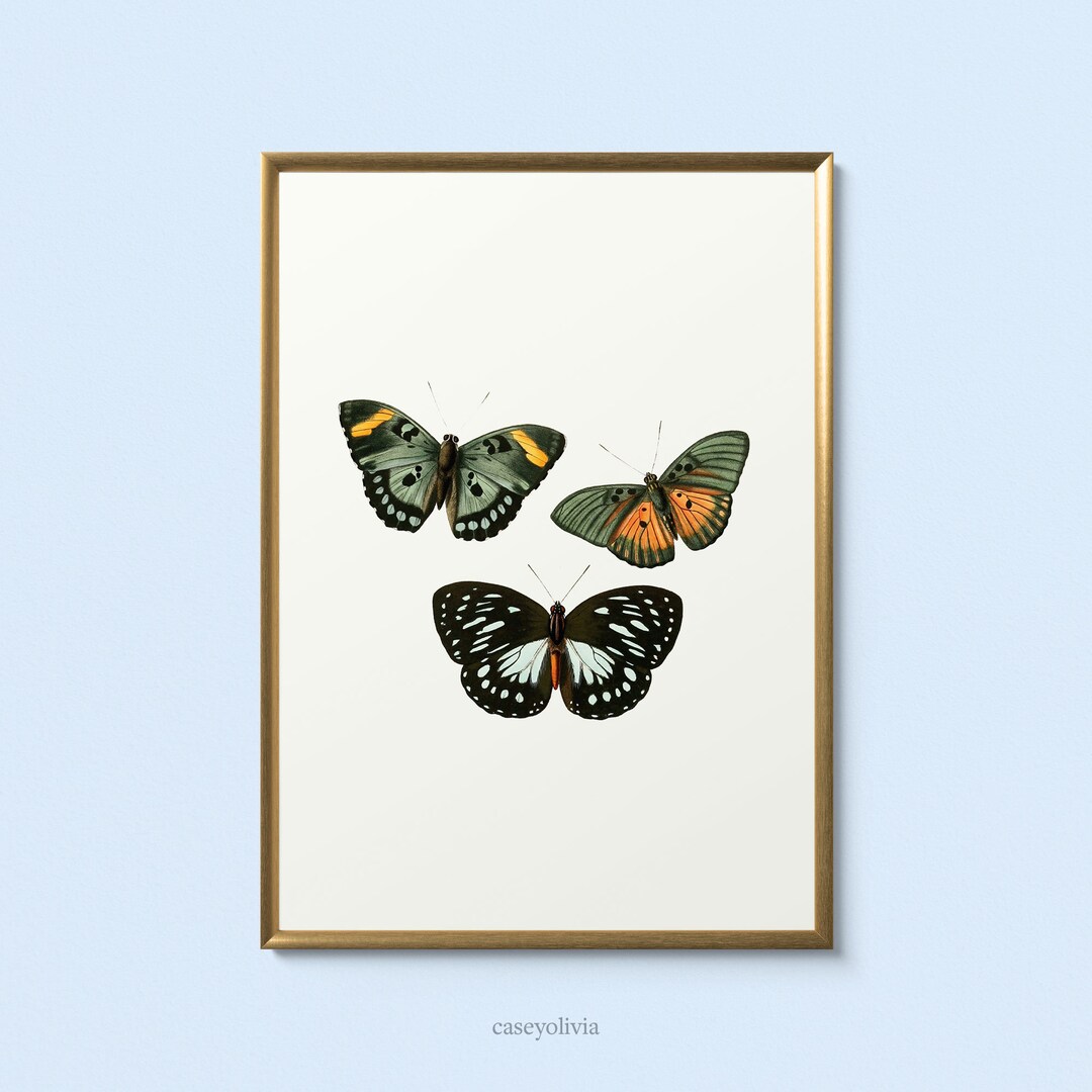 Vintage Green Butterfly Moth Printable Wall Art Poster Insect Digital ...