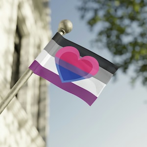 Biromantic Asexual Pride Flag, Biromantic Asexual Pride Banner, LGBTQ ...