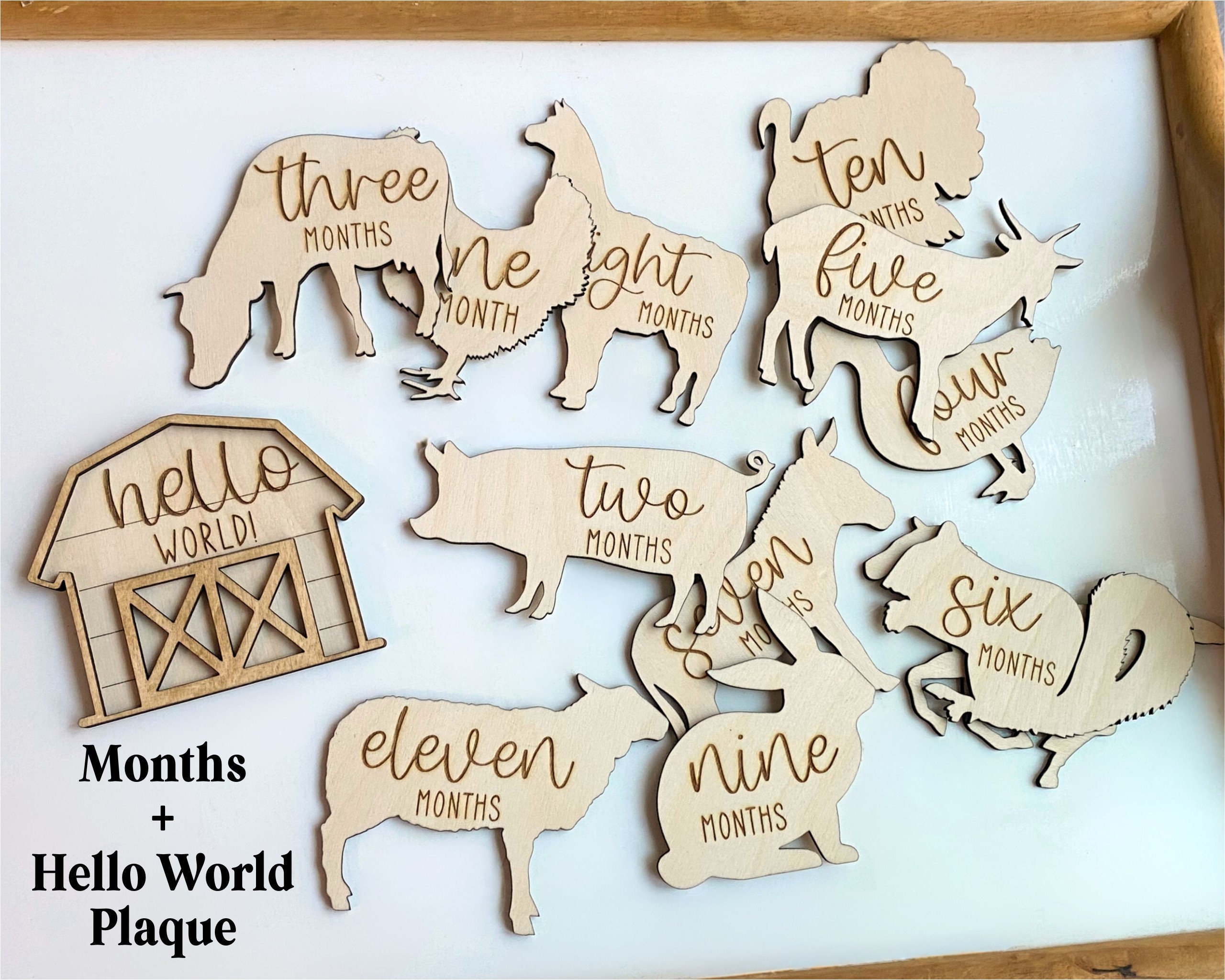 Farm Animals Wooden Monthly Milestone Markers for Baby Photos, Unique ...
