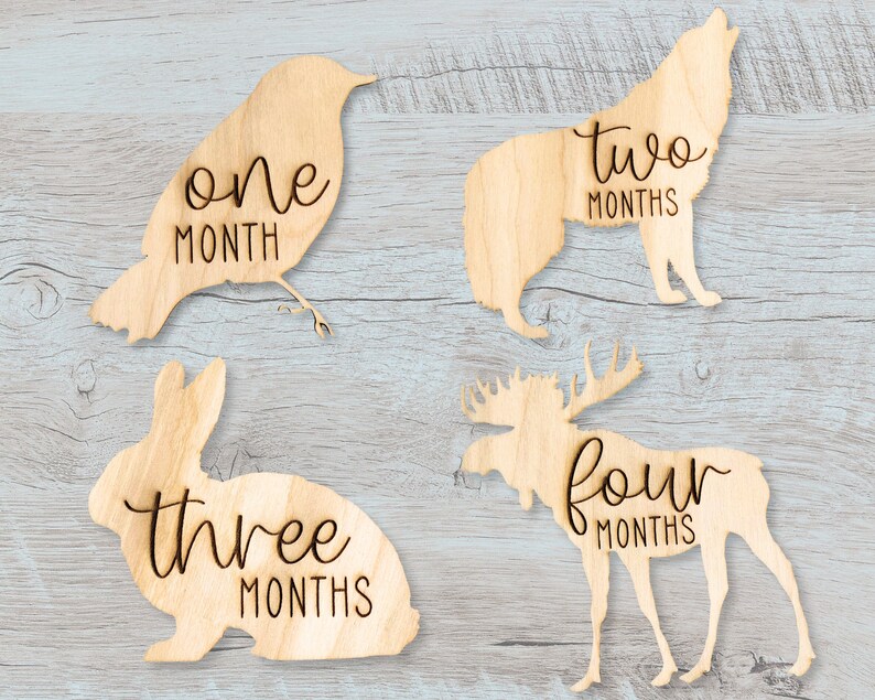 Woodland Creatures Baby Monthly Milestone Markers, Unique Wooden ...