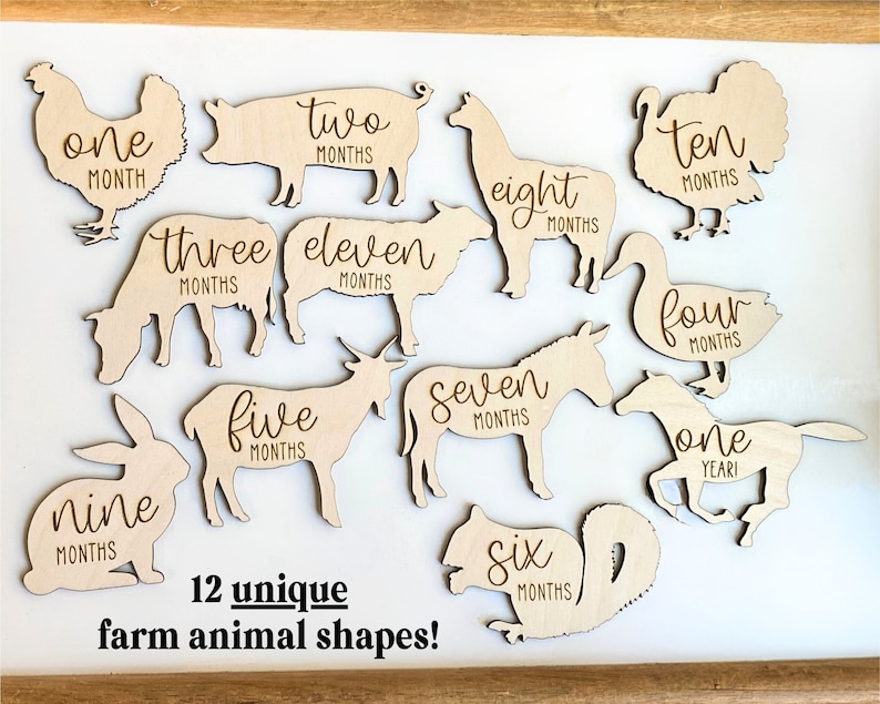 Baby Monthly Milestone Markers With Farm Animal Theme, Unique Wooden ...