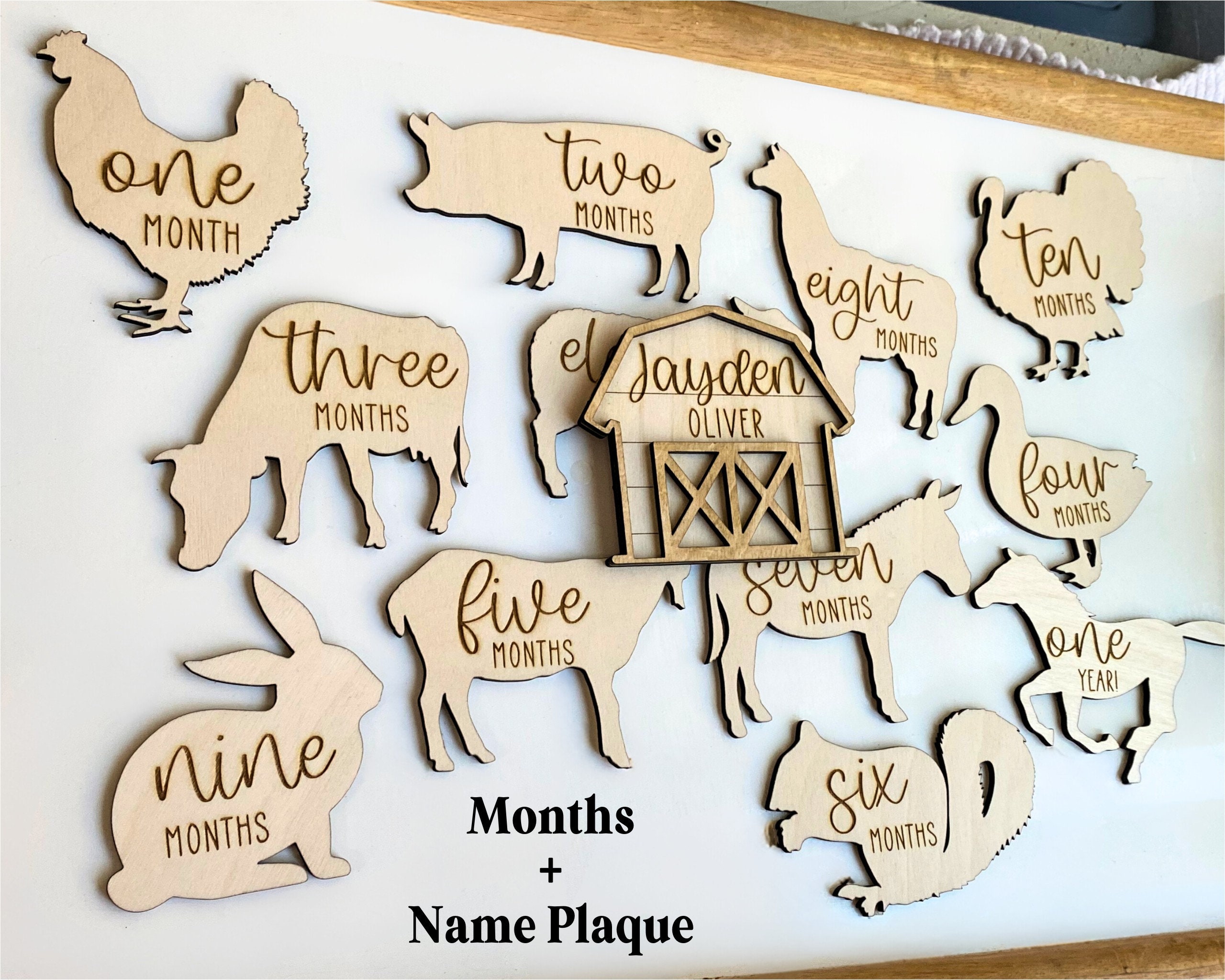 Farm Animals Wooden Monthly Milestone Markers for Baby Photos, Unique ...