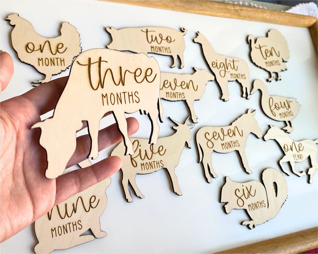 Farm Animals Wooden Monthly Milestone Markers for Baby Photos, Unique ...