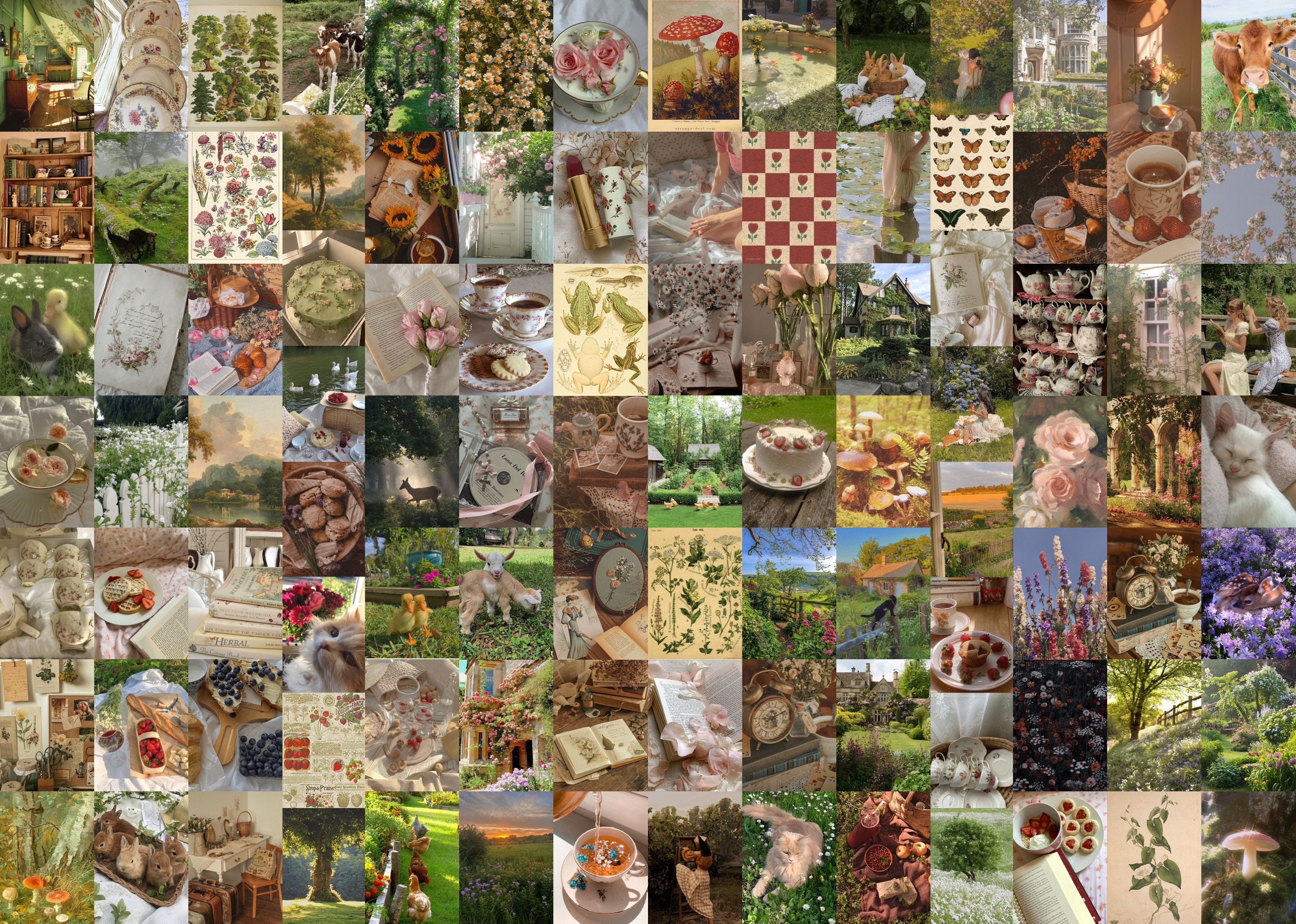 100 Pcs Cottage Core Aesthetic Photo Collage Kit | Room Decor | Wall ...