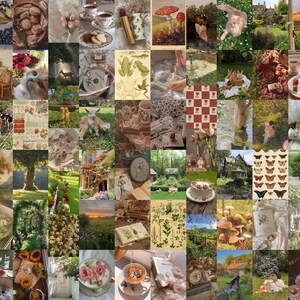 100 Pcs Cottage Core Aesthetic Photo Collage Kit | Room Decor | Wall ...