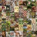 100 Pcs Cottage Core Aesthetic Photo Collage Kit | Room Decor | Wall ...