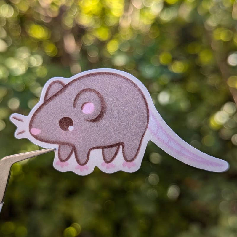 Rat Stickers - Etsy