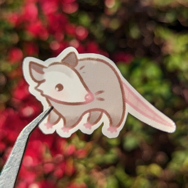 Opossum Stickers - Etsy