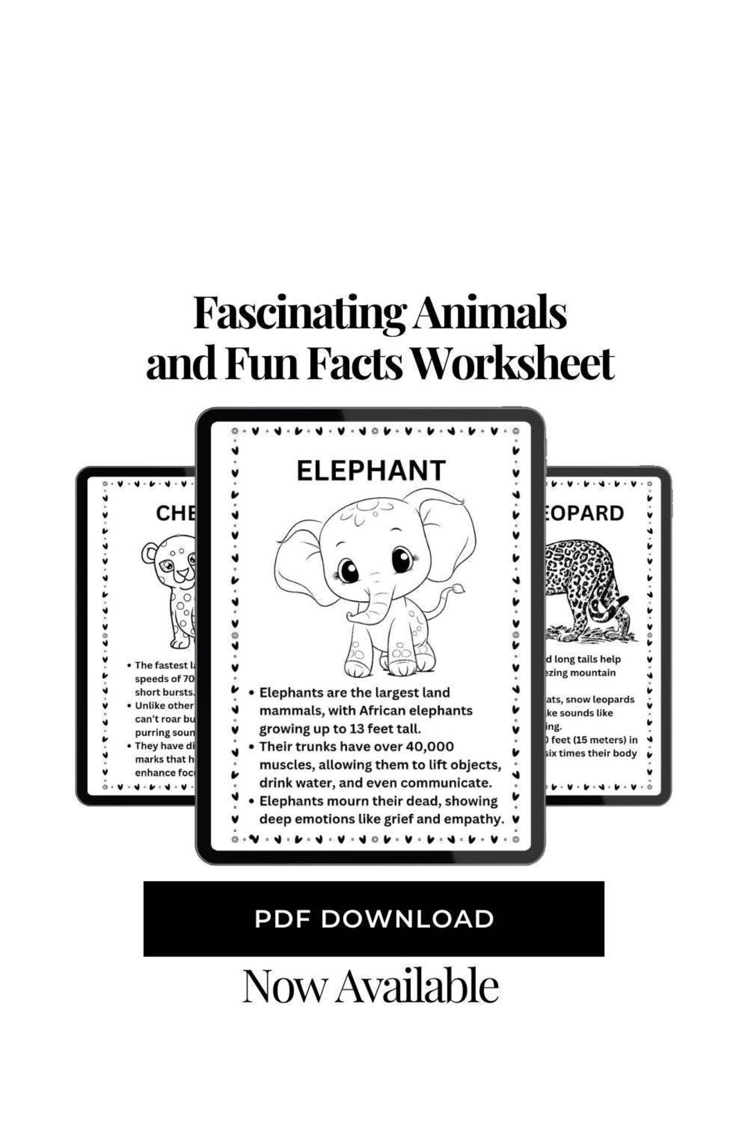 Fascinating Animals & Fun Facts Worksheet – Digital Download ...