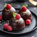 Dark Chocolate Raspberry Mousse Dome Recipe for Download. - Etsy