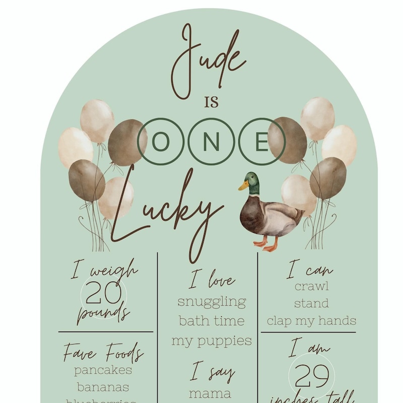 One Lucky Duck Party Sign - Etsy
