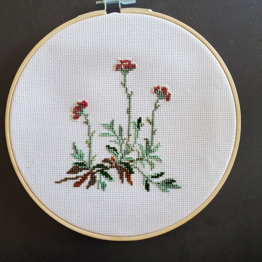Flowering Plants of Denmark - Cat's Foot - Etsy