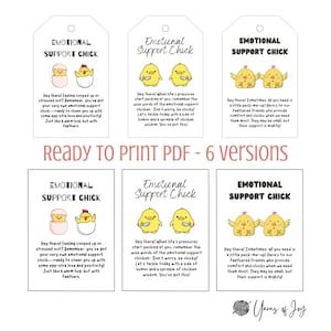 Emotional Support Chick, Penguin, Mallard Amigurumi - Printable Crochet ...