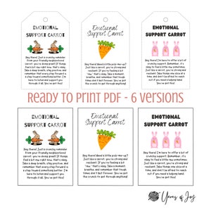 Emotional Support Eggplant, Potato, Carrot Amigurumi - Printable ...